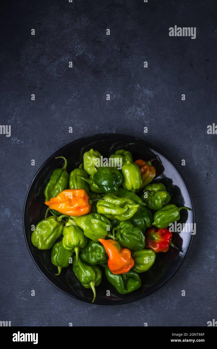 habanero chili peppers, ripe and unripe hot variety of capsicum ...