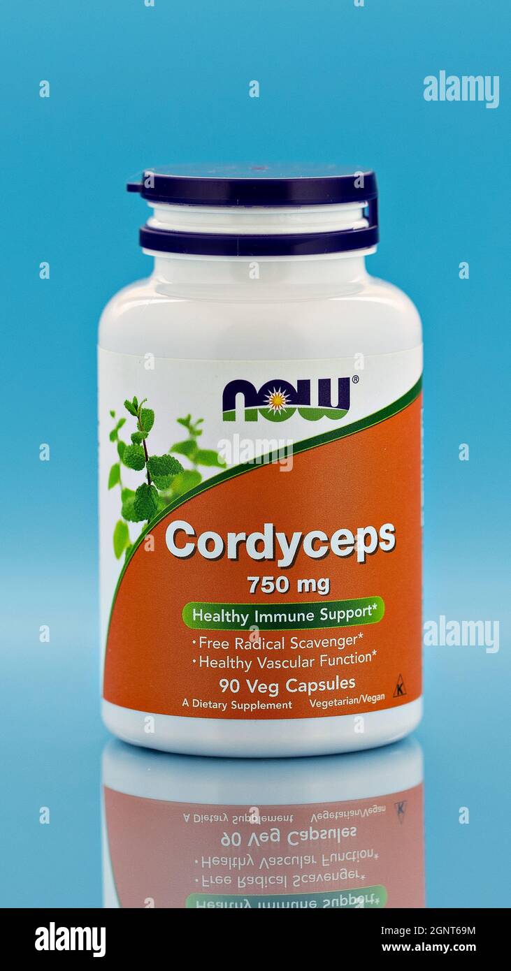 Cordyceps capsules in the jar. dietary supplement editorial photo Stock ...