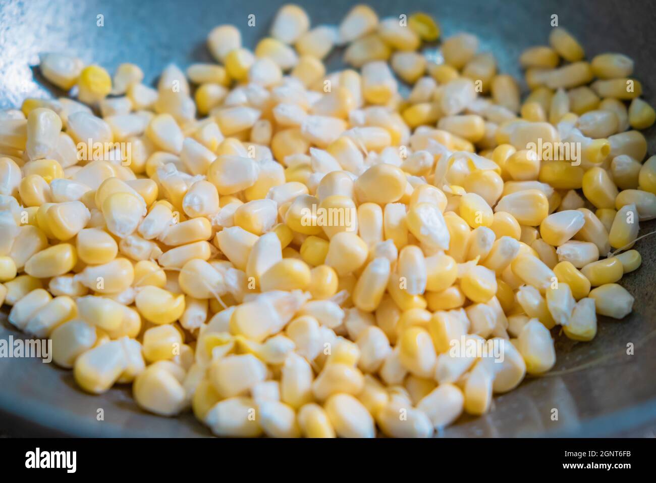 Female hand separating seed from hi-res stock photography and images ...