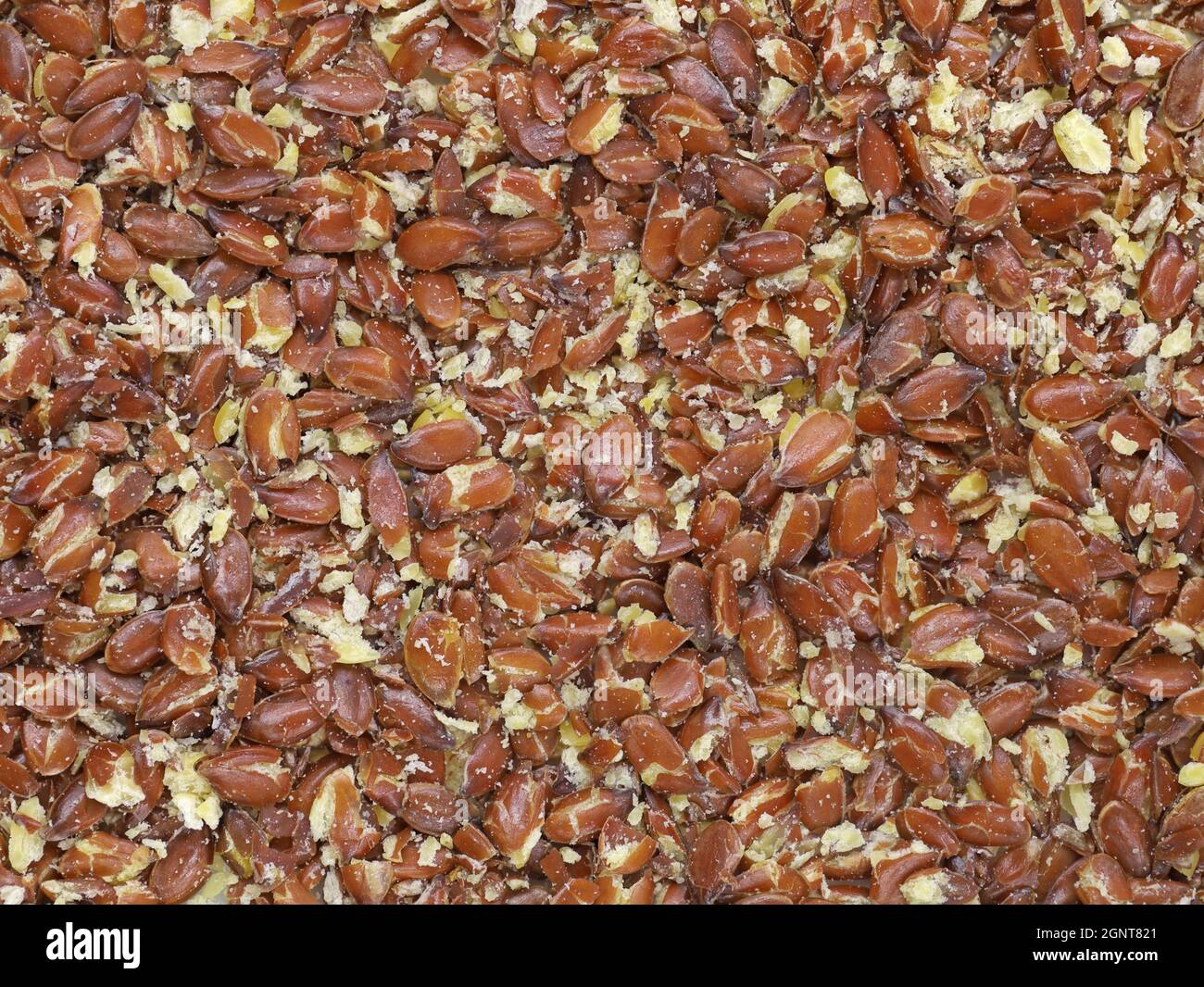 Wallpaper flaxseed background linseed hi-res stock photography and images - Alamy
