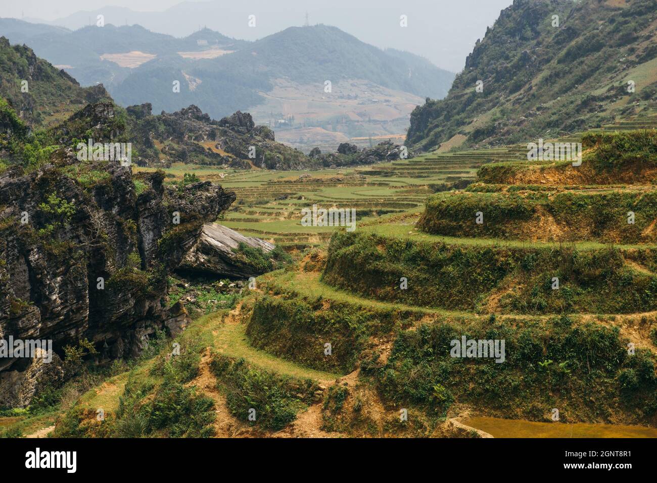 Rice terraces and hills in Sapa, Vietnam. Rural green vietnamese ...