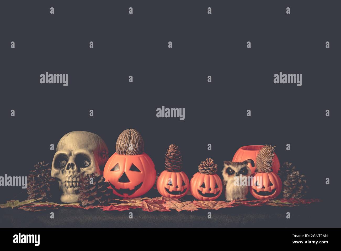 Halloween human skull, Halloween Pumpkins on an old wooden table in ...