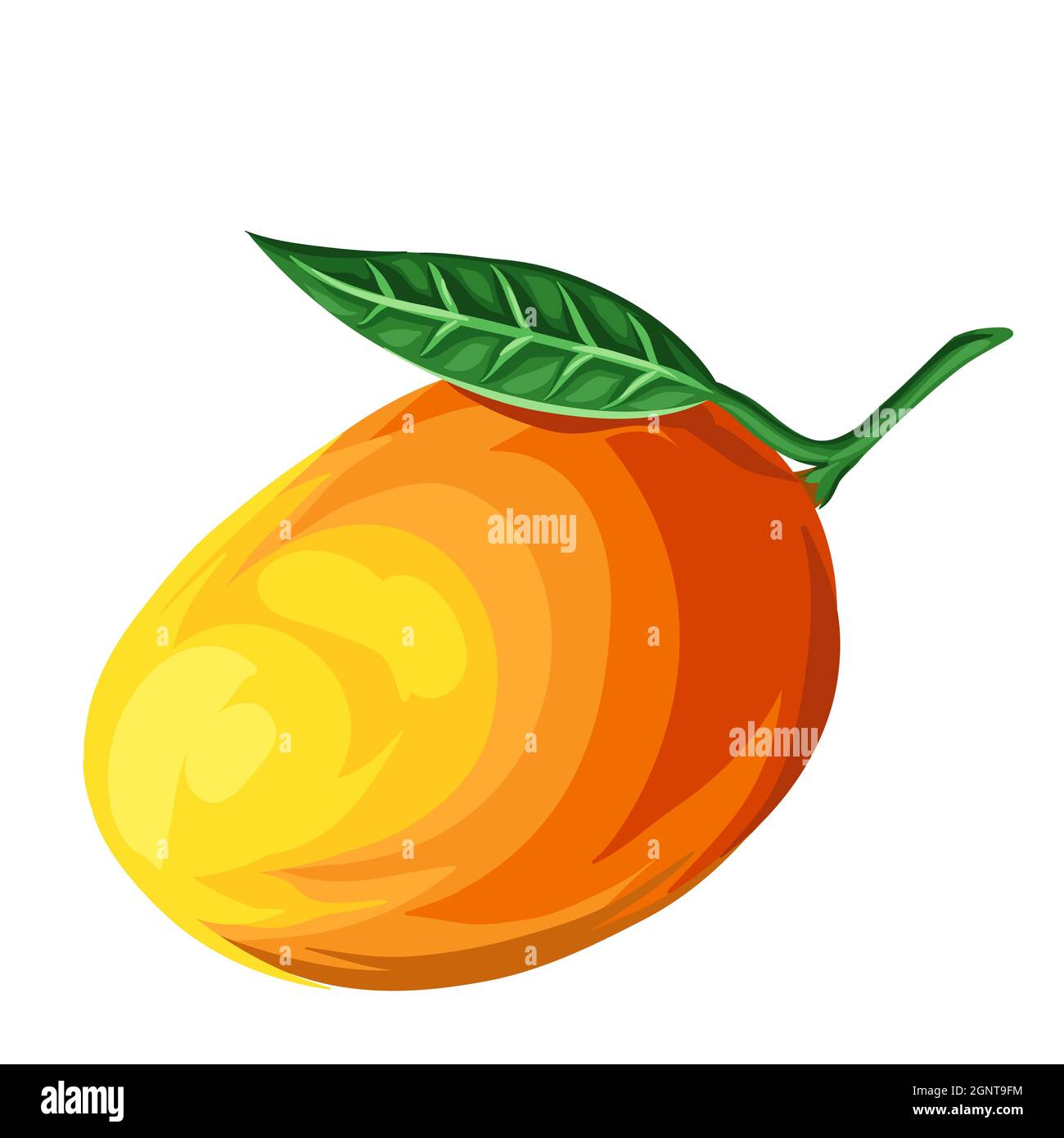 Stylized illustration of mango. Image for design or decoration Stock ...