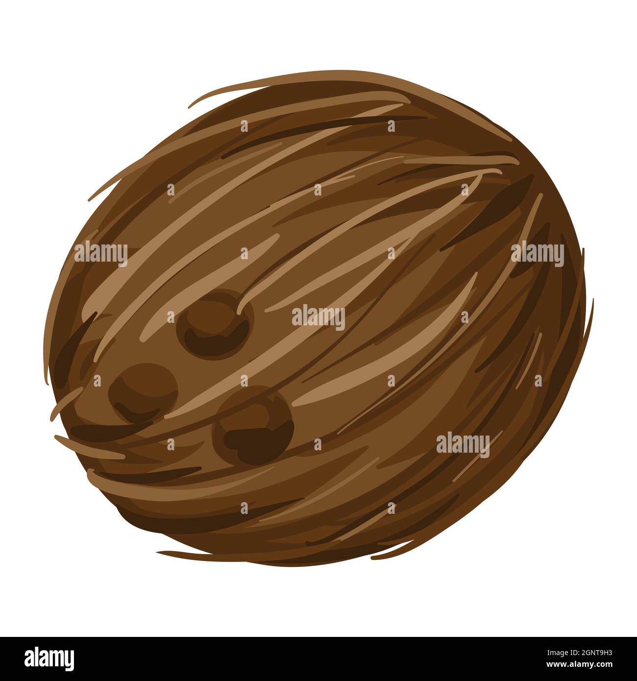 Stylized illustration of coconut. Image for design or decoration Stock ...