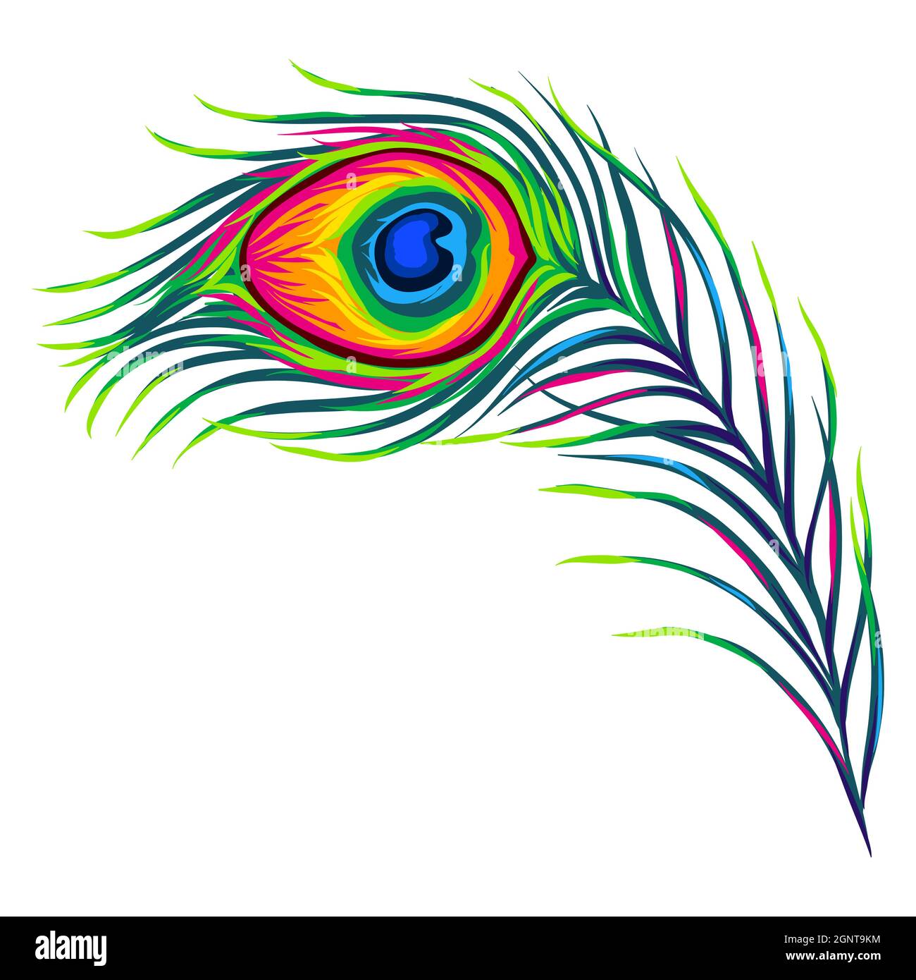 Stylized Illustration Of Peacock Feather Image For Design Or