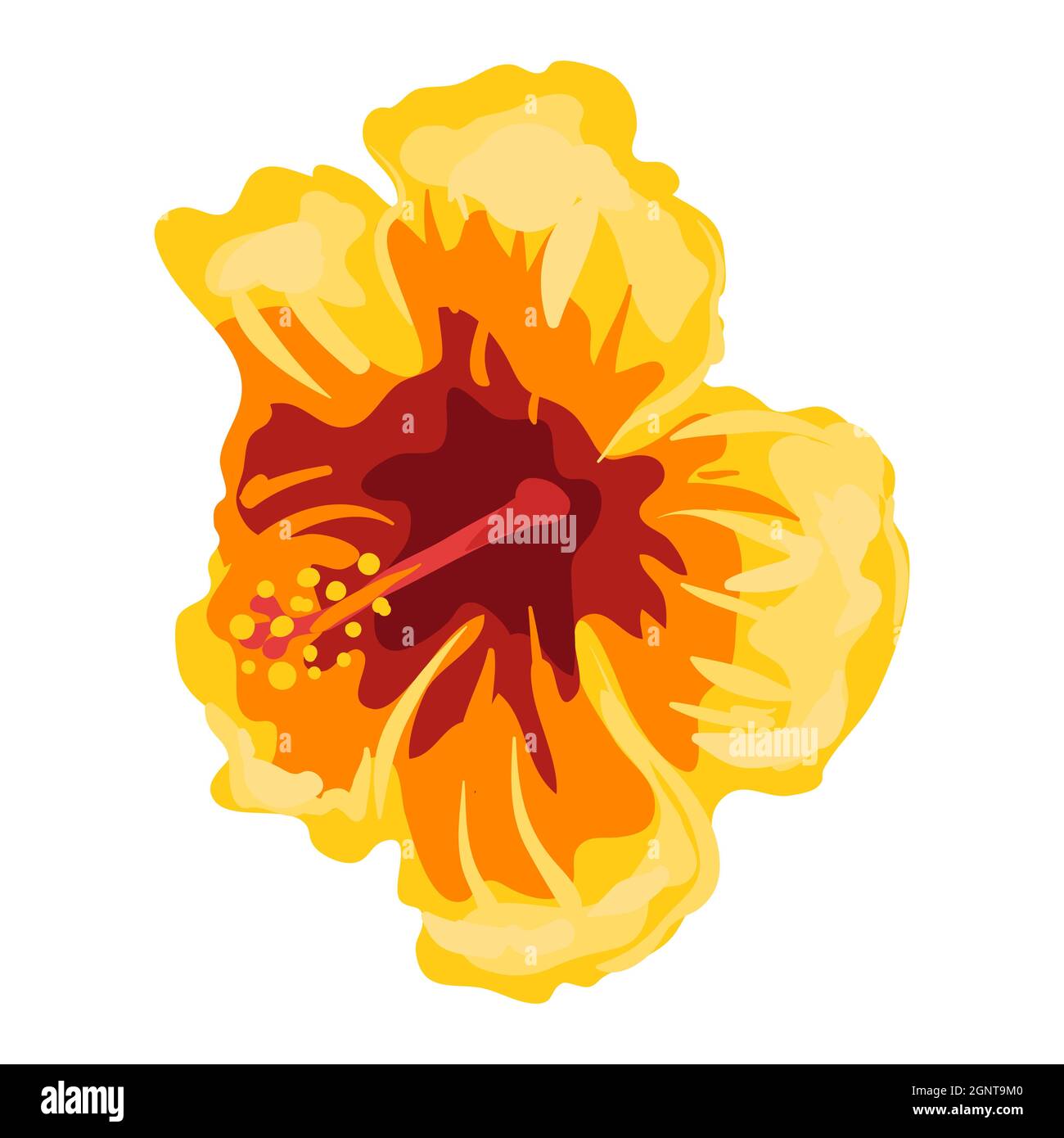 Single hibiscus flower head Stock Vector Images - Alamy