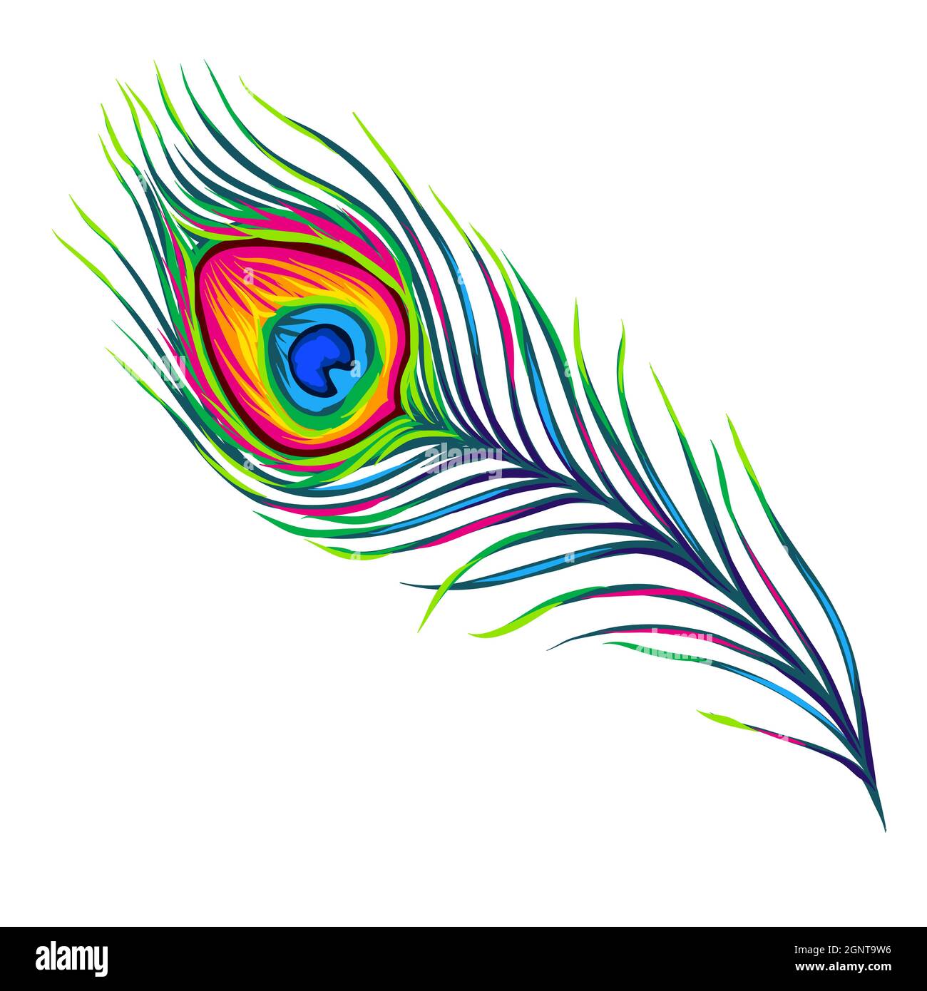 Stylized illustration of peacock feather. Image for design or ...