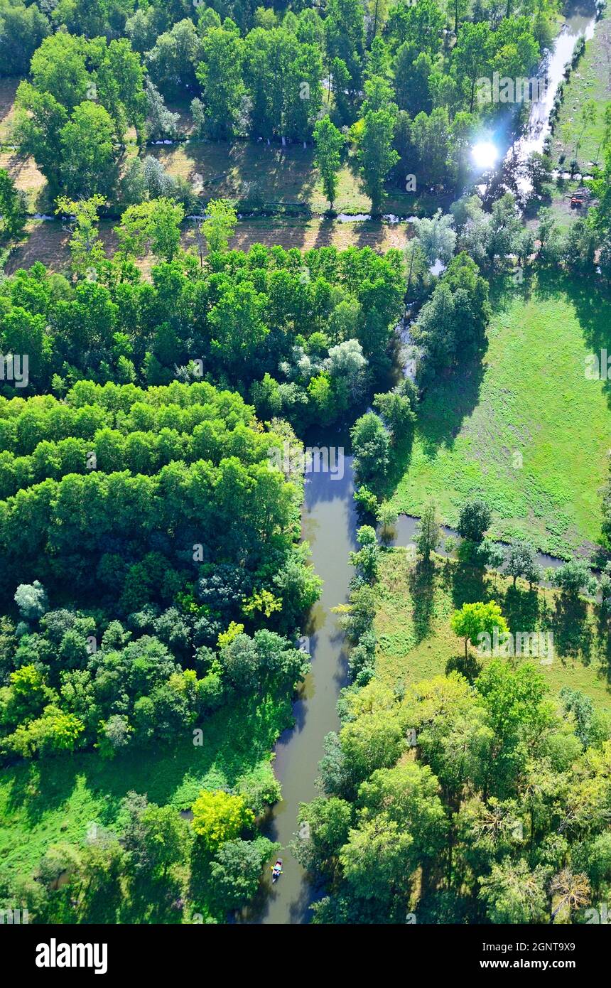 France, Deux-Sèvres (79), le Marais Poitevin, la Venise Verte, Coulon ...