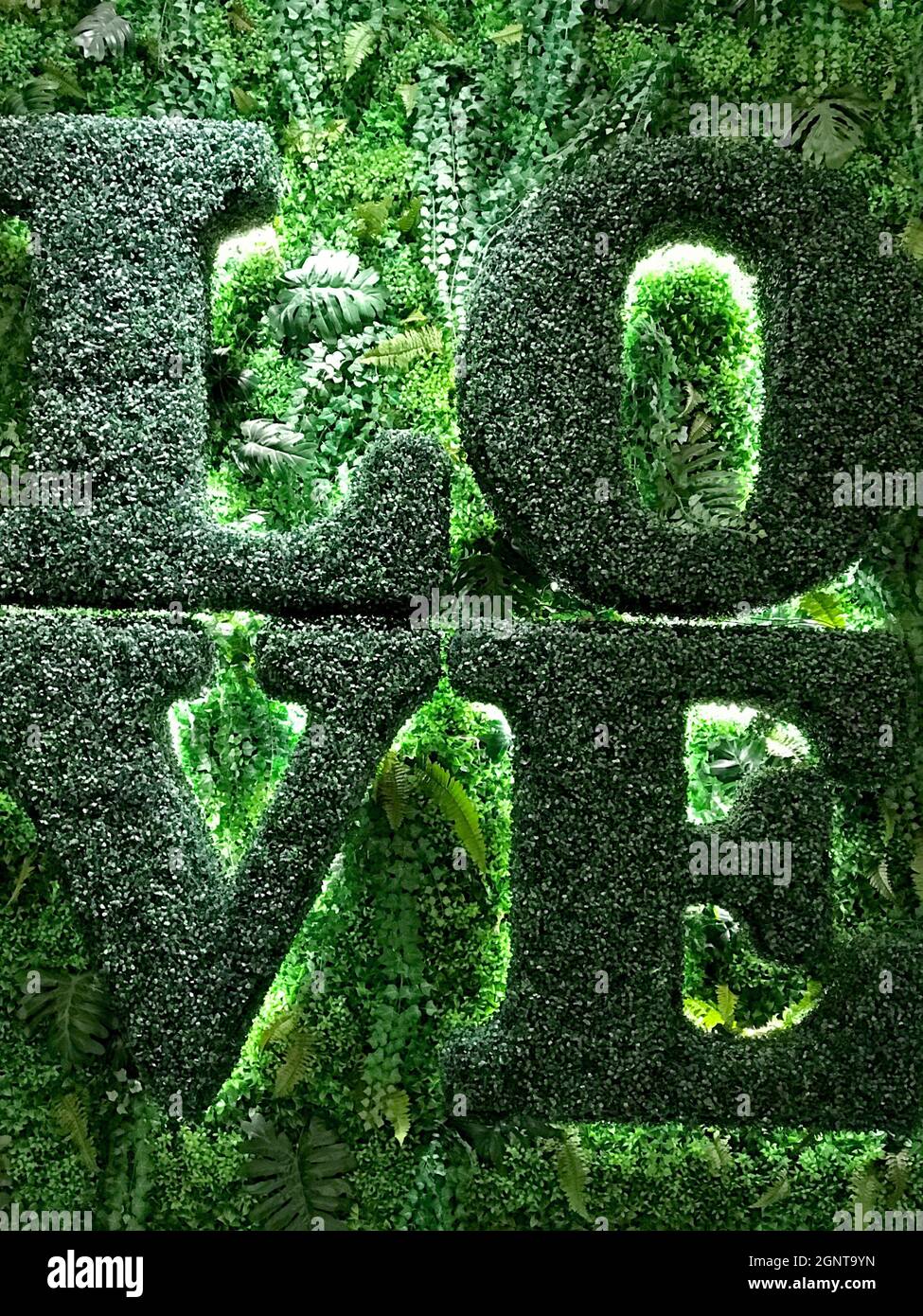 Vertical shot of interior design with indoor plants and a Love sign ...