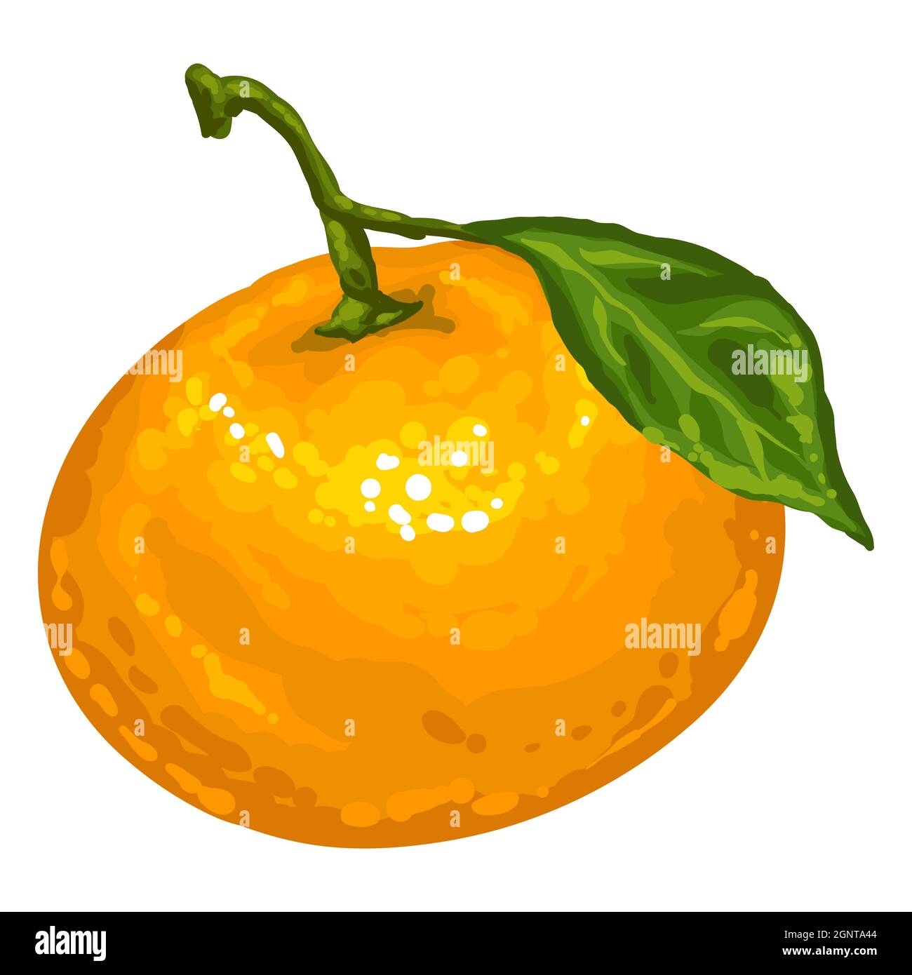 Stylized illustration of mandarin. Image for design or decoration Stock ...