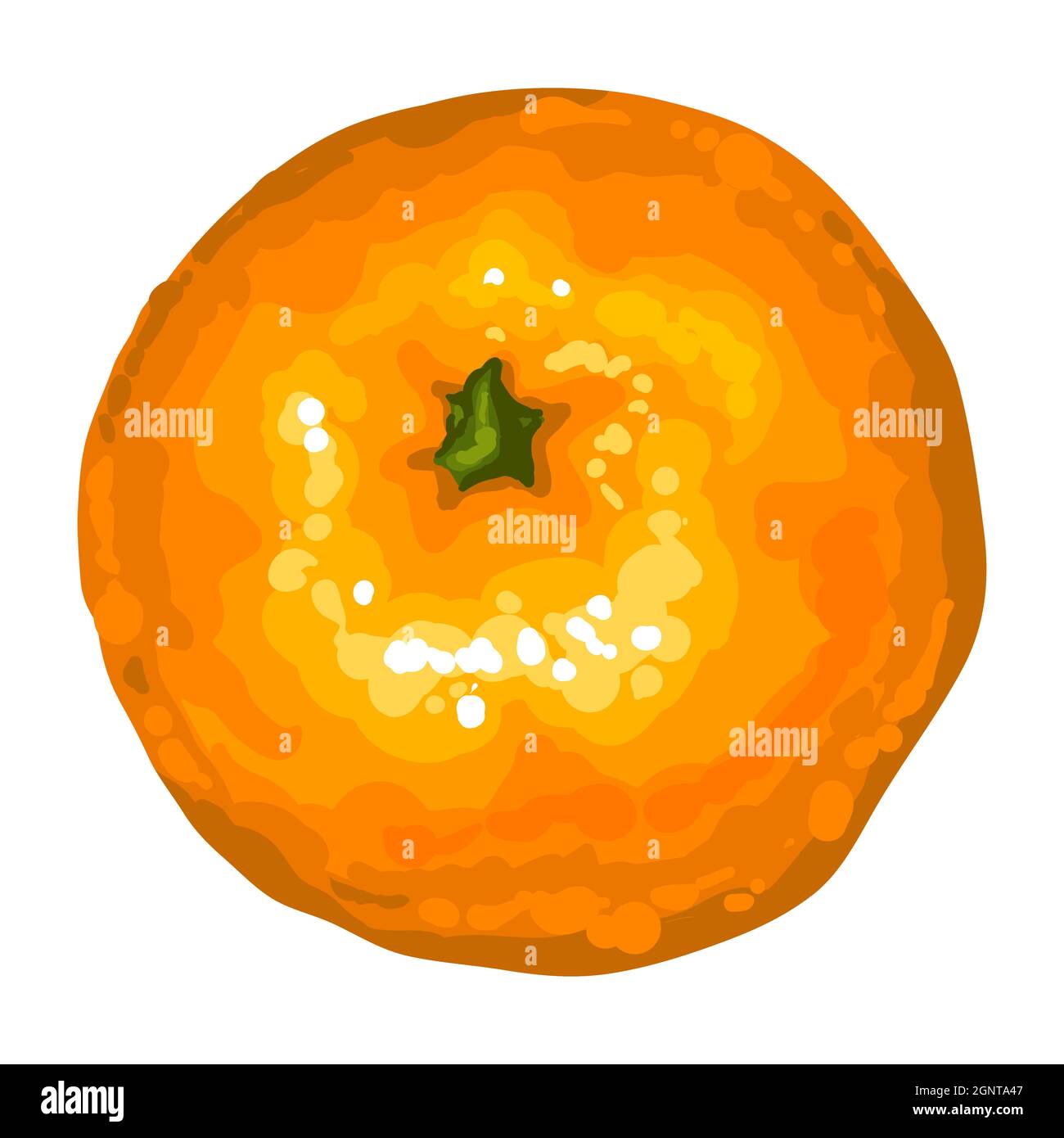 Stylized illustration of mandarin. Image for design or decoration Stock ...