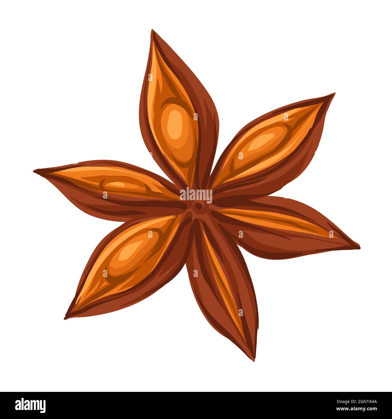 Star anise fragrant spice Stock Vector Images - Alamy