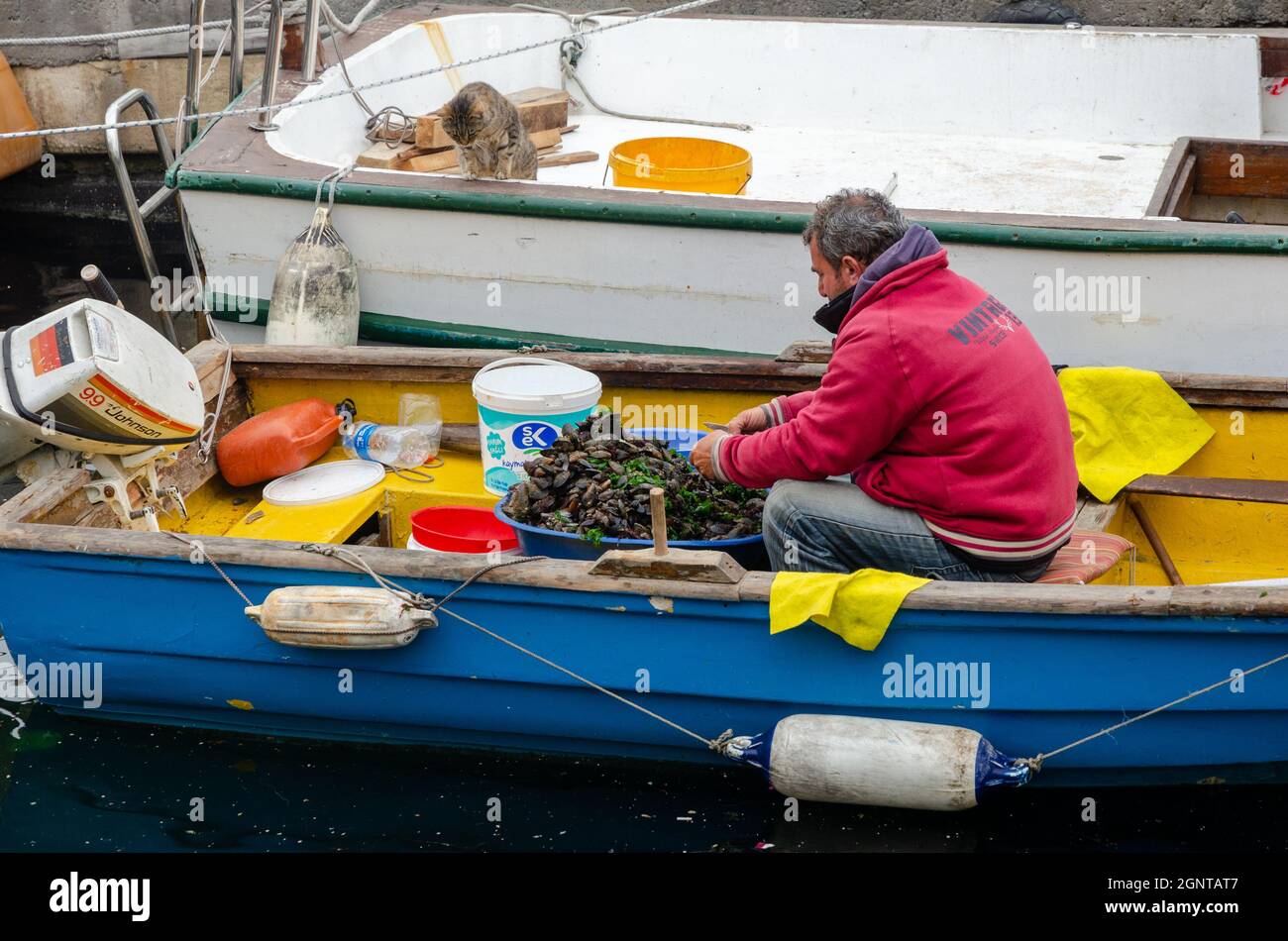 Fisherman cleans a catch of mussels on a boat Stock Photo - Alamy