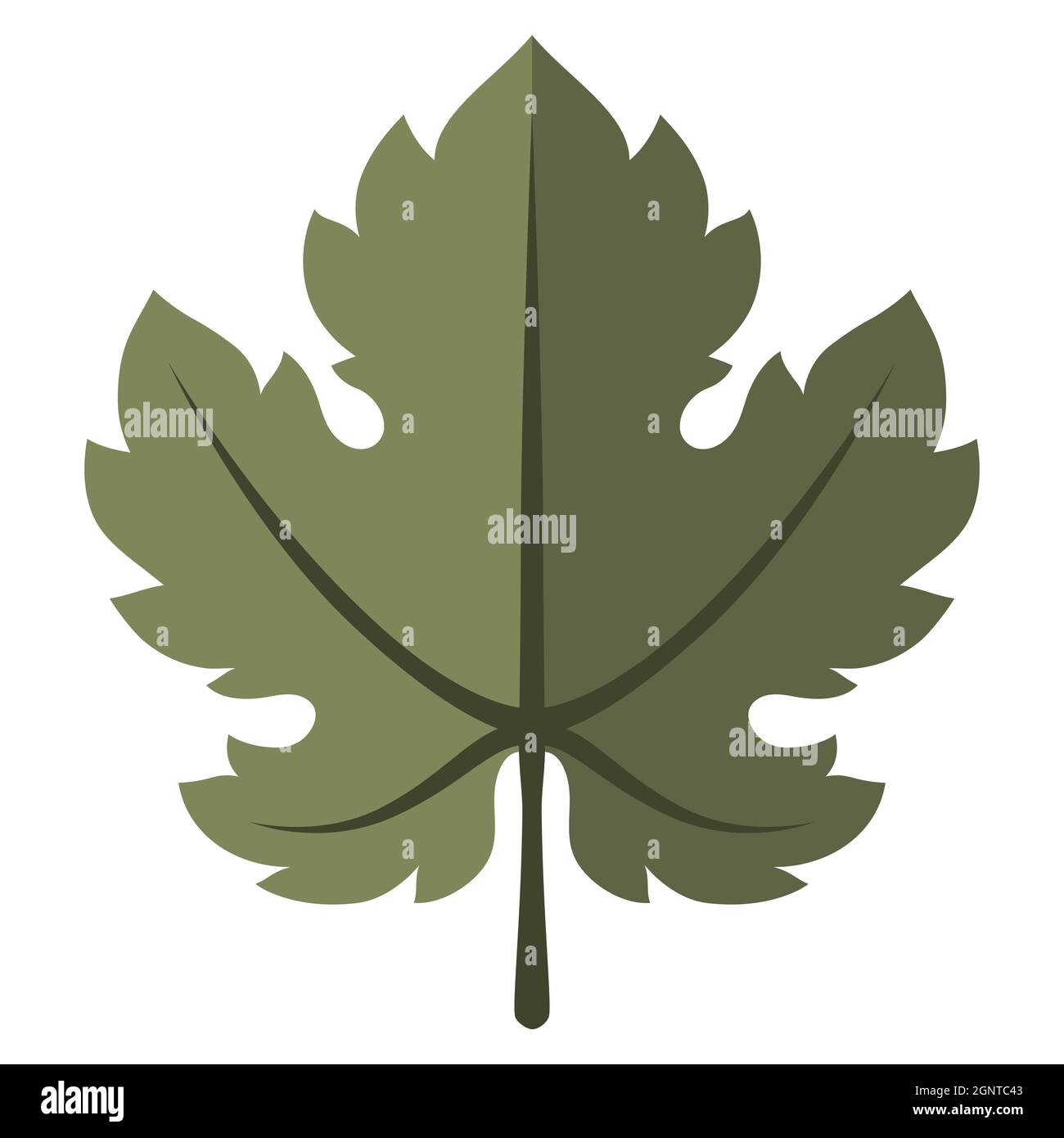 Stylized wine leaf Stock Vector Images - Alamy