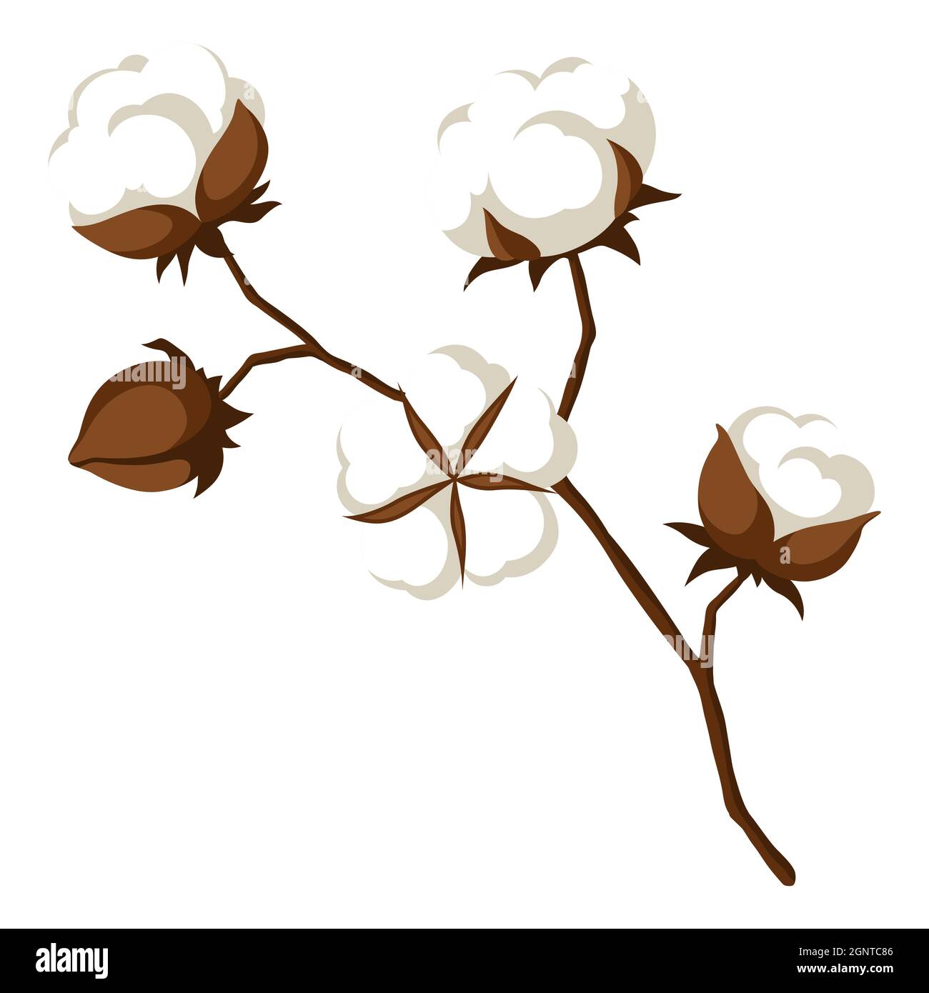 Stylized illustration of cotton branch. Image for design or decoration ...