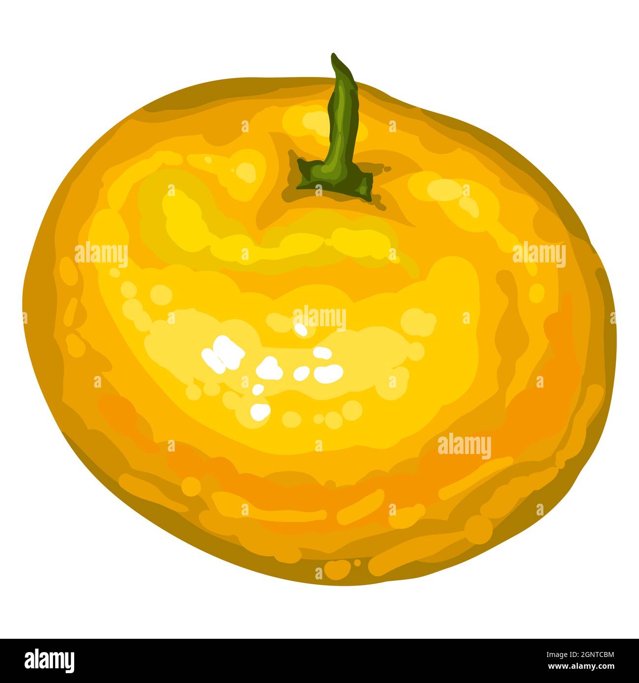 Stylized illustration of mandarin. Image for design or decoration Stock ...