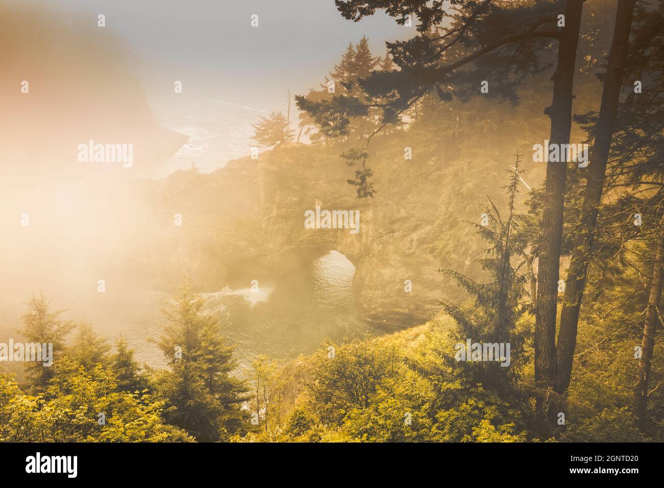 Arch rock oregon coast hi-res stock photography and images - Alamy