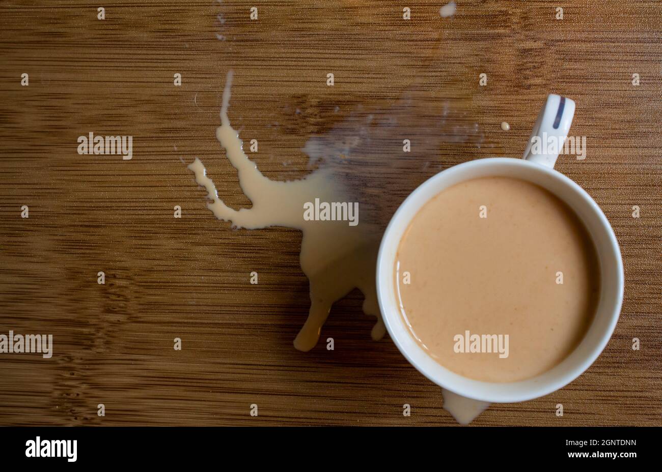 milk tea in white cup with brown wood background having a splashed or ...