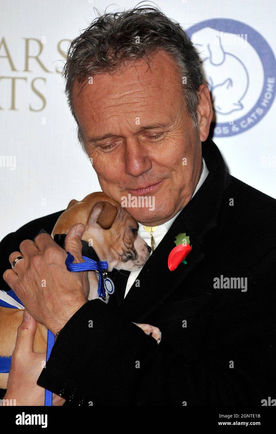 Anthony Stewart Head