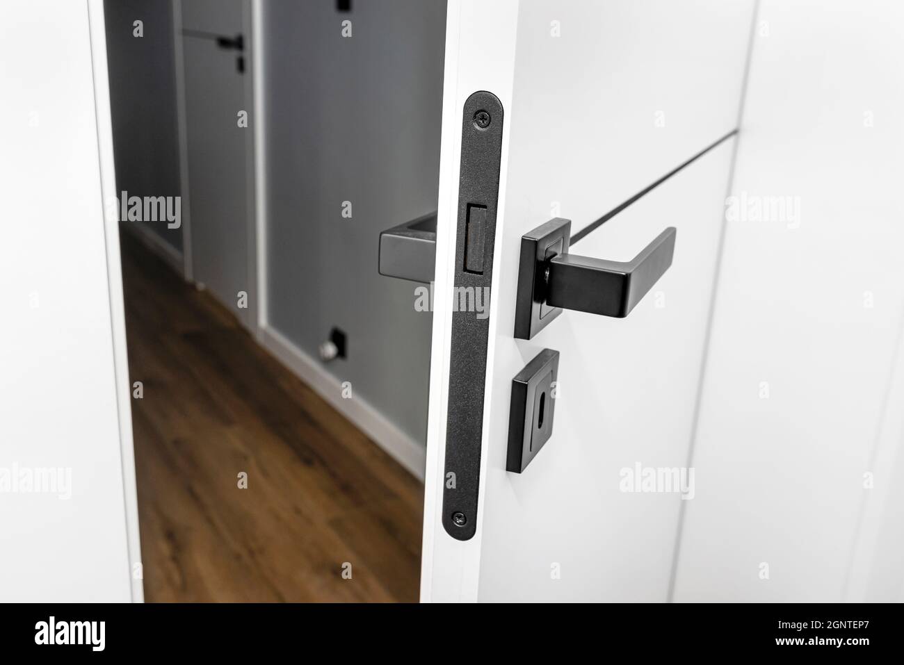 Modern white door with matte black handle and magnetic locks, lock with ...