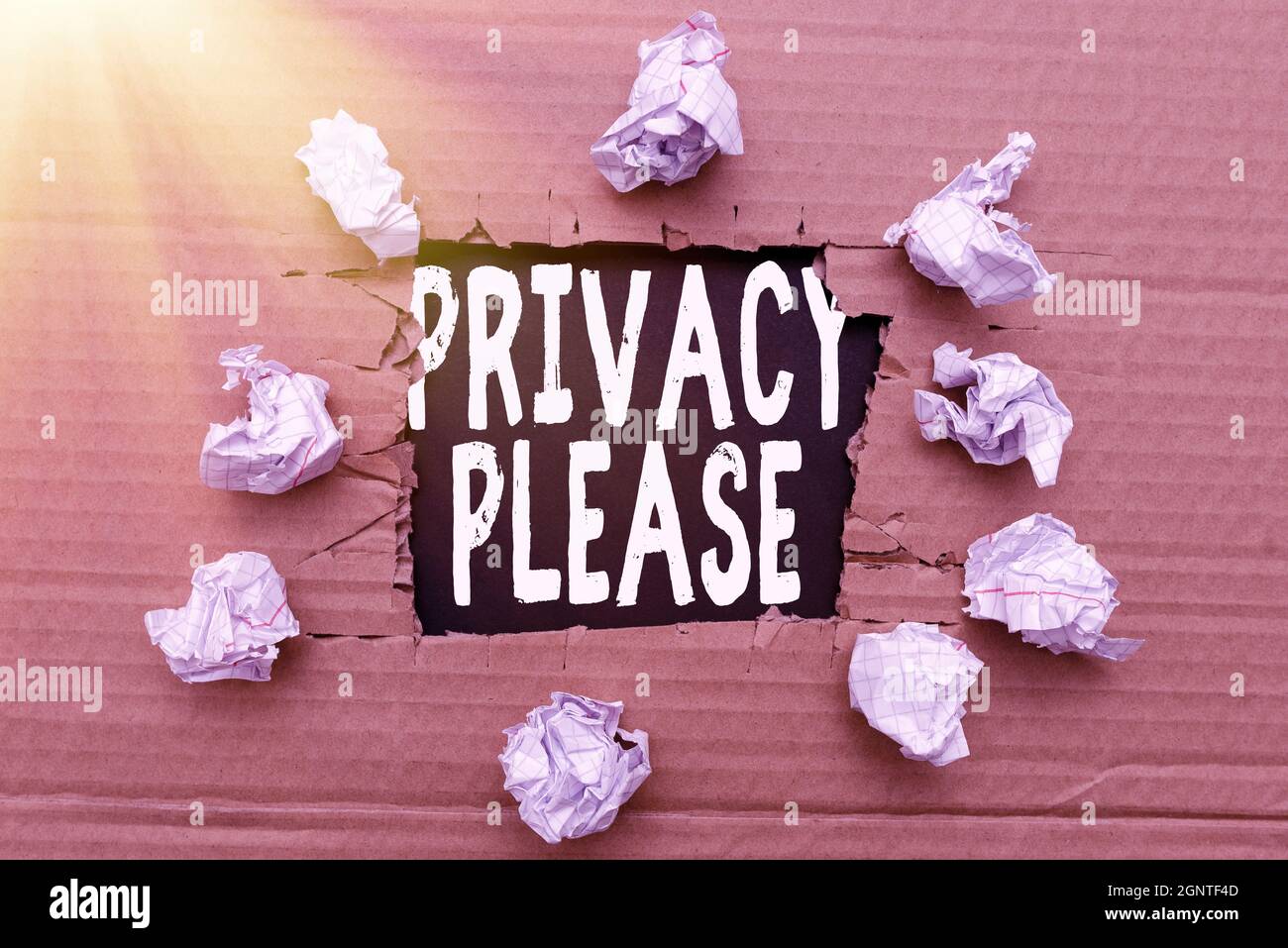 Writing displaying text Privacy Please. Business overview asking ...