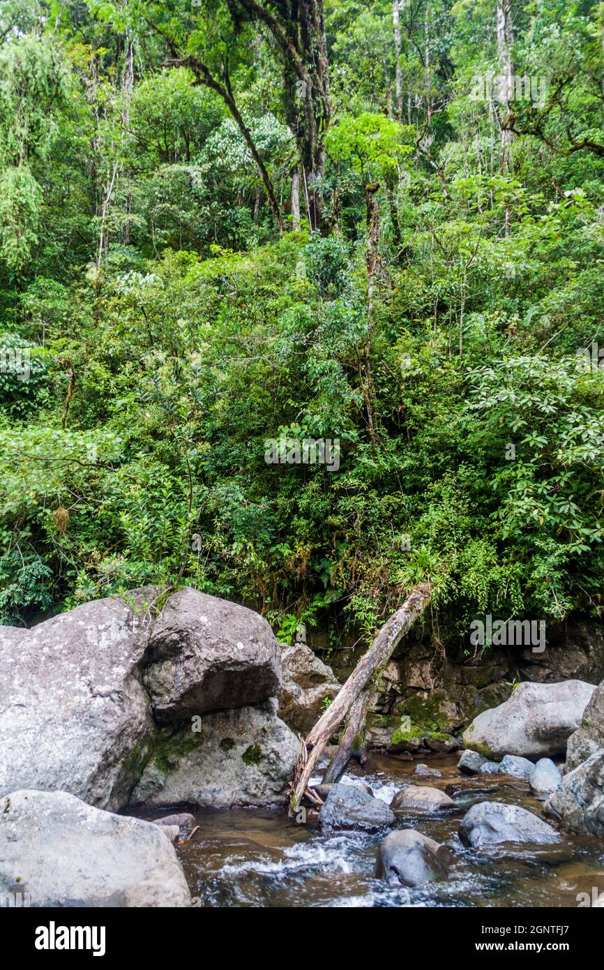 Rapids of Rio Hornito river and a jungle in Panama Stock Photo - Alamy