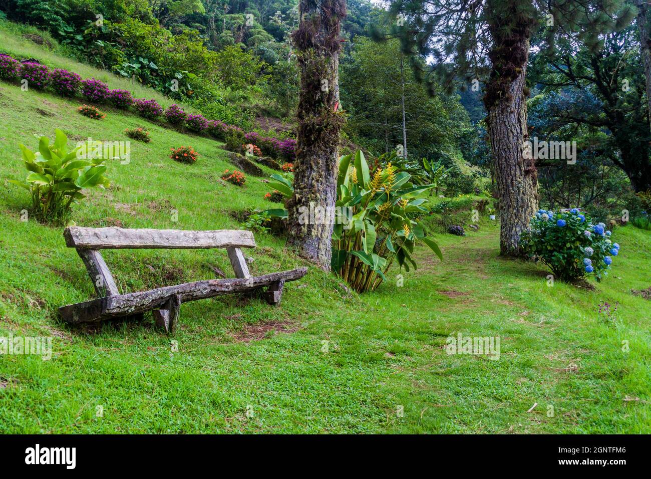 Lower part of Lost Waterfalls hiking trail near Boquete, Panama Stock ...