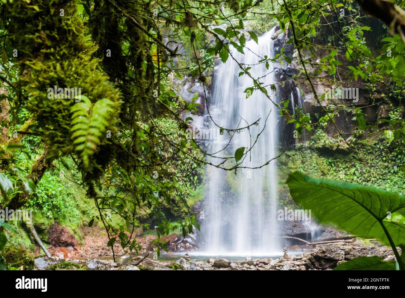 Waterfall near Boquete, Panama. Accessible by Lost Waterfalls hiking ...