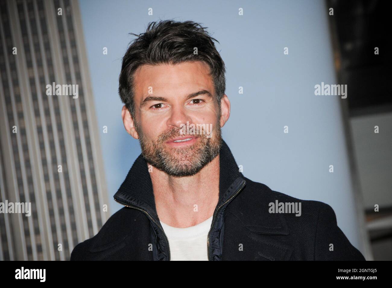 Daniel Gillies Biography