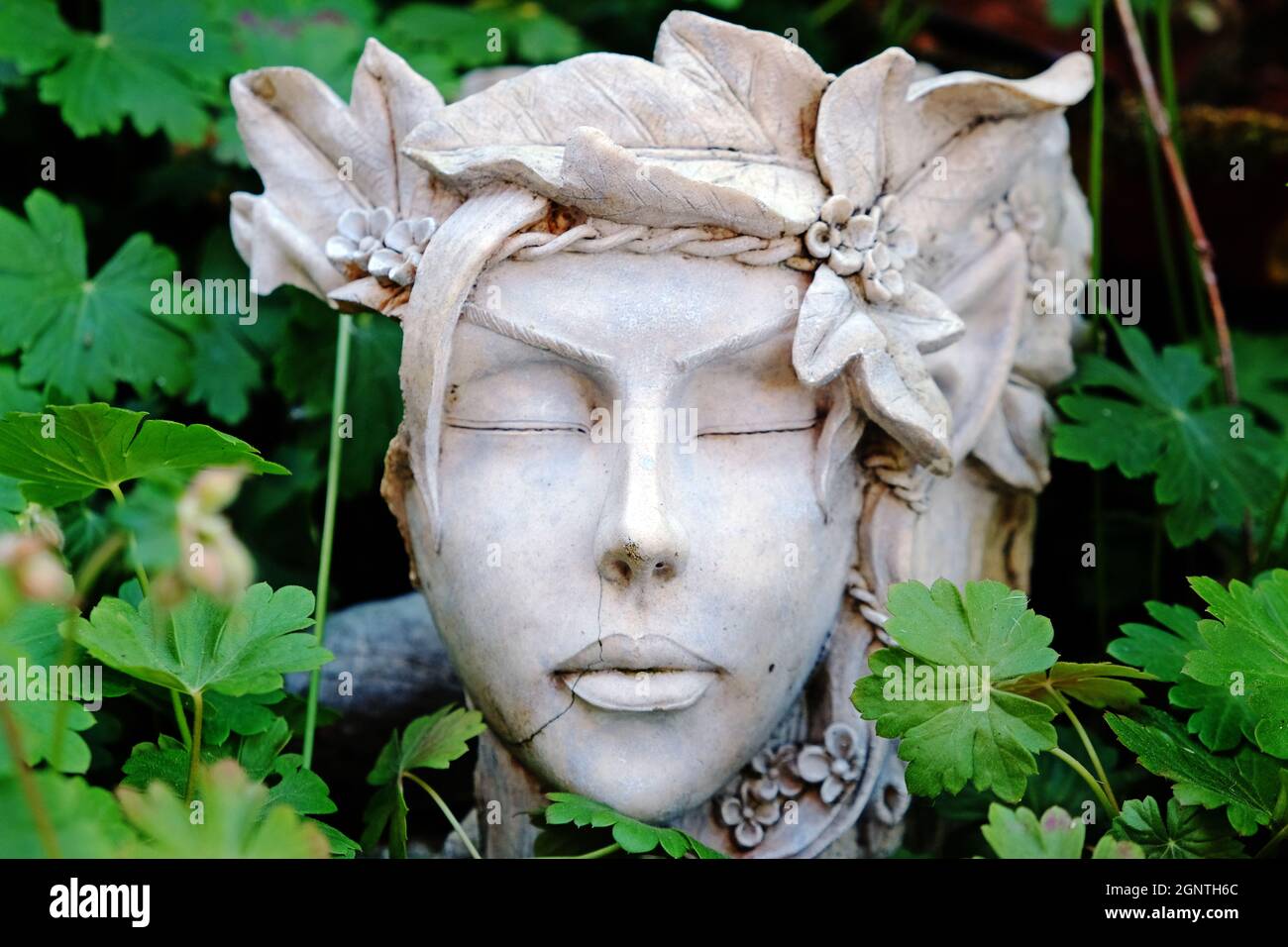 Flower Woman Flower/Plant Pot Stock Photo - Alamy