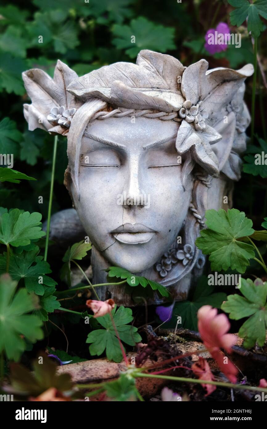 Flower Woman Flower/Plant Pot Stock Photo - Alamy