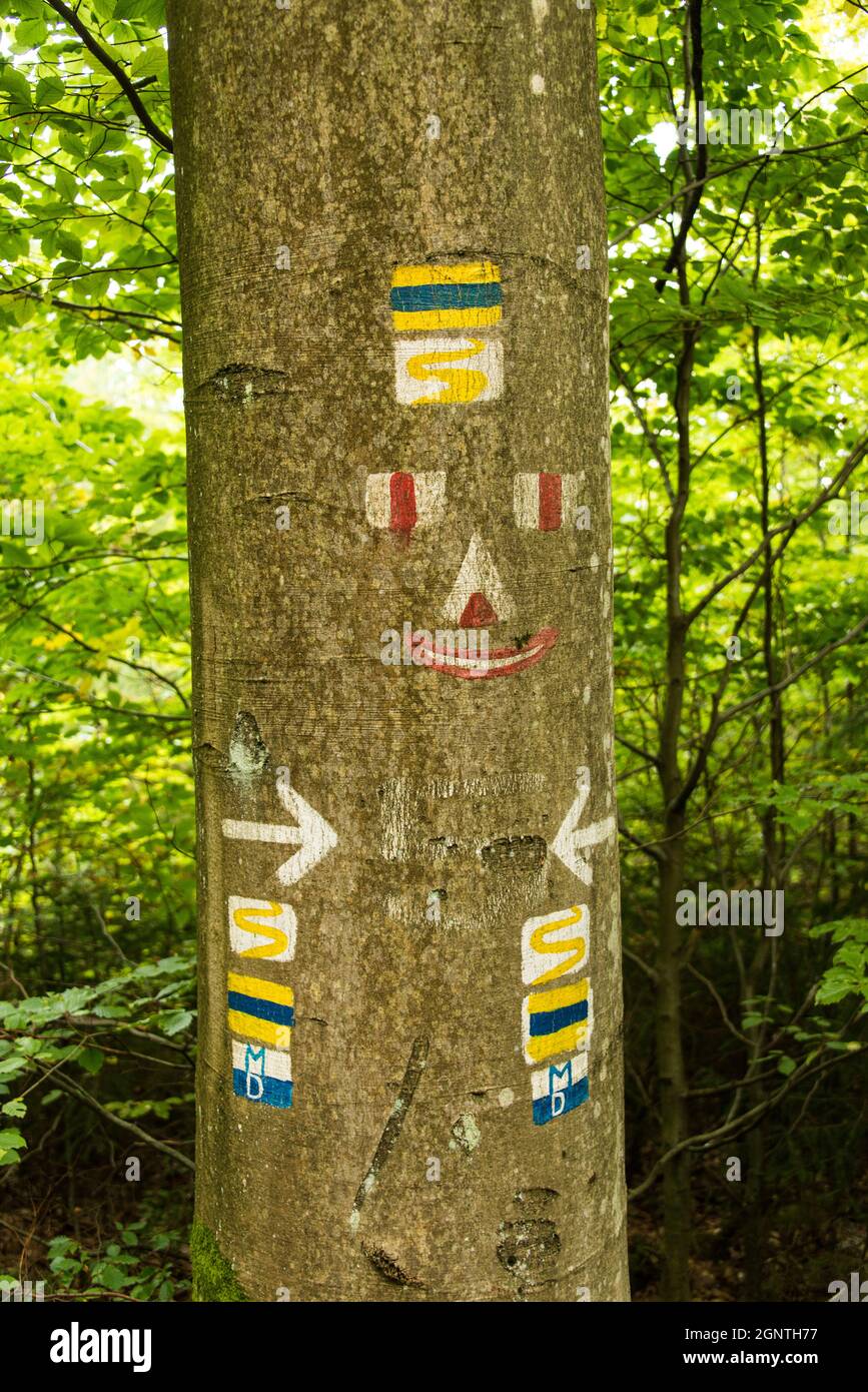 Funny face and waymarkers: a tree at Goldsteig long-distance hiking ...