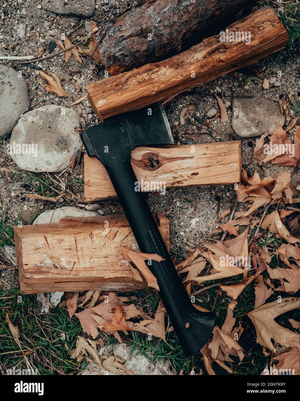 Camping logs icon cartoon hi-res stock photography and images - Alamy