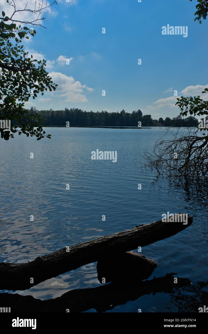 View of the gour de Tazenat, volcanic lake of Auvergne in Charbonnières ...