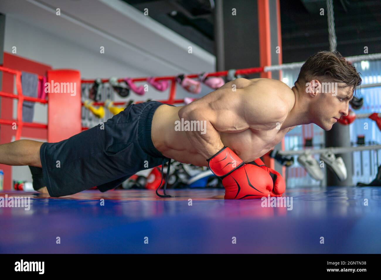 Strong boxer doing push ups before his fight match Stock Photo - Alamy