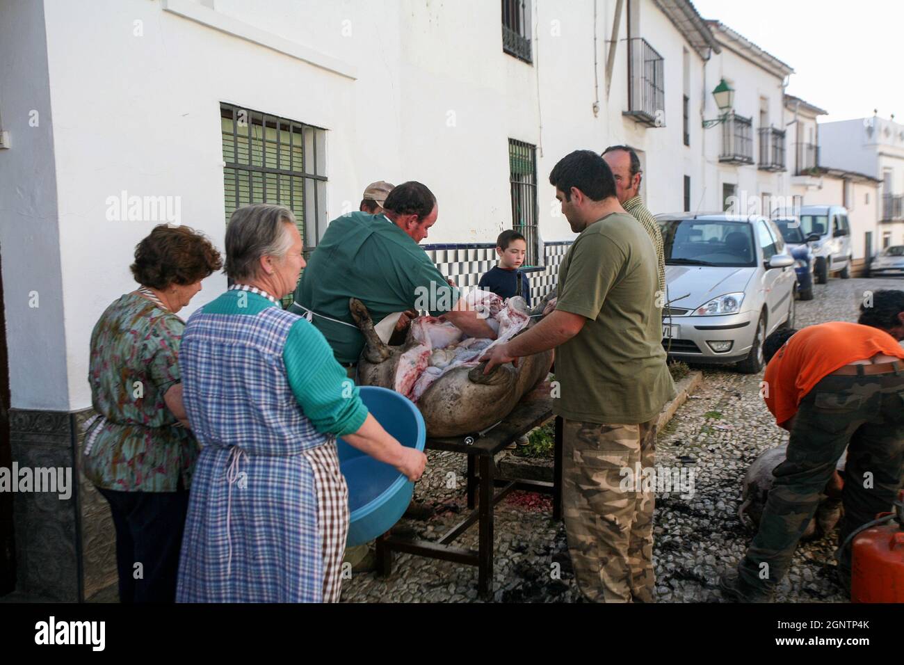 La Matanza: a traditional Spanish pig slaughter observed in Alajar ...