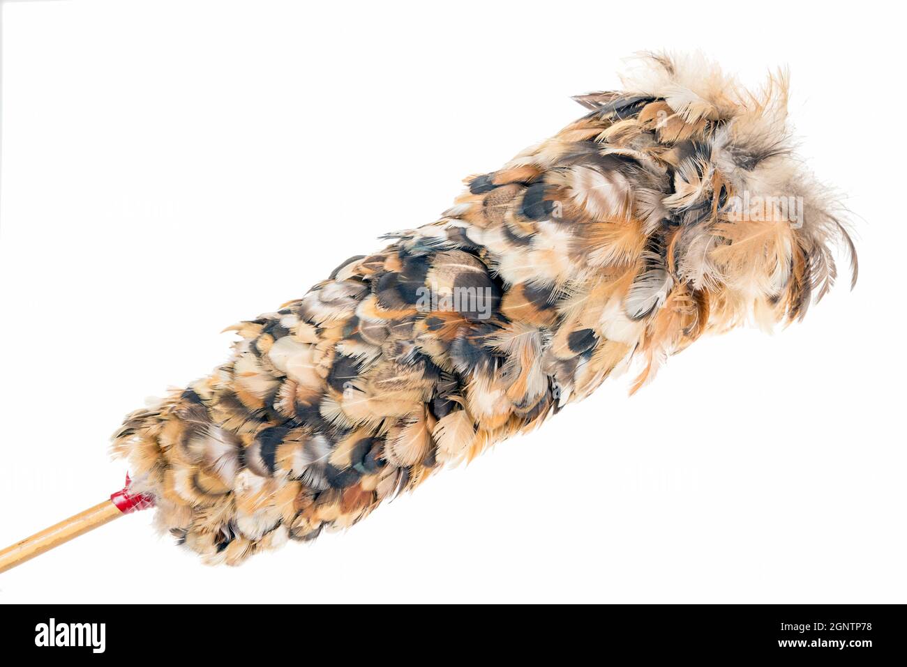 Traditional feather duster Stock Photo - Alamy
