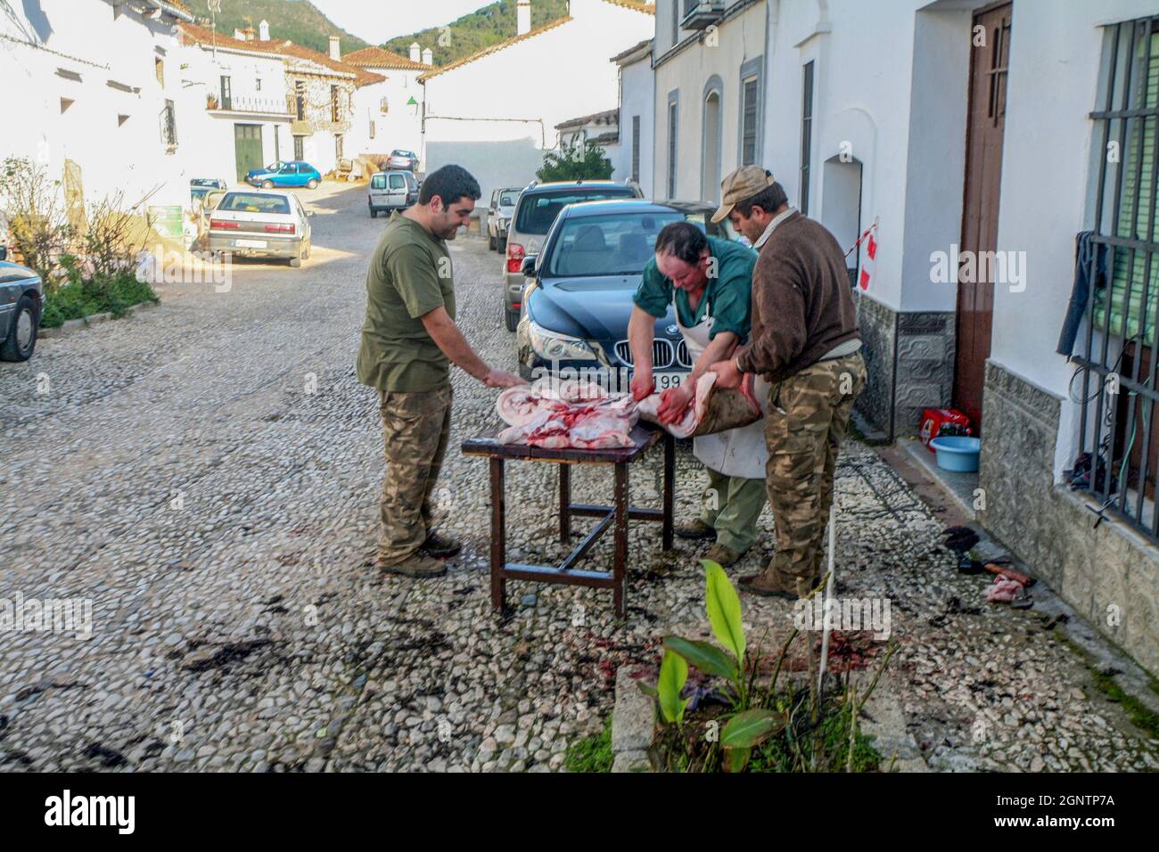 La Matanza: a traditional Spanish pig slaughter observed in Alajar ...
