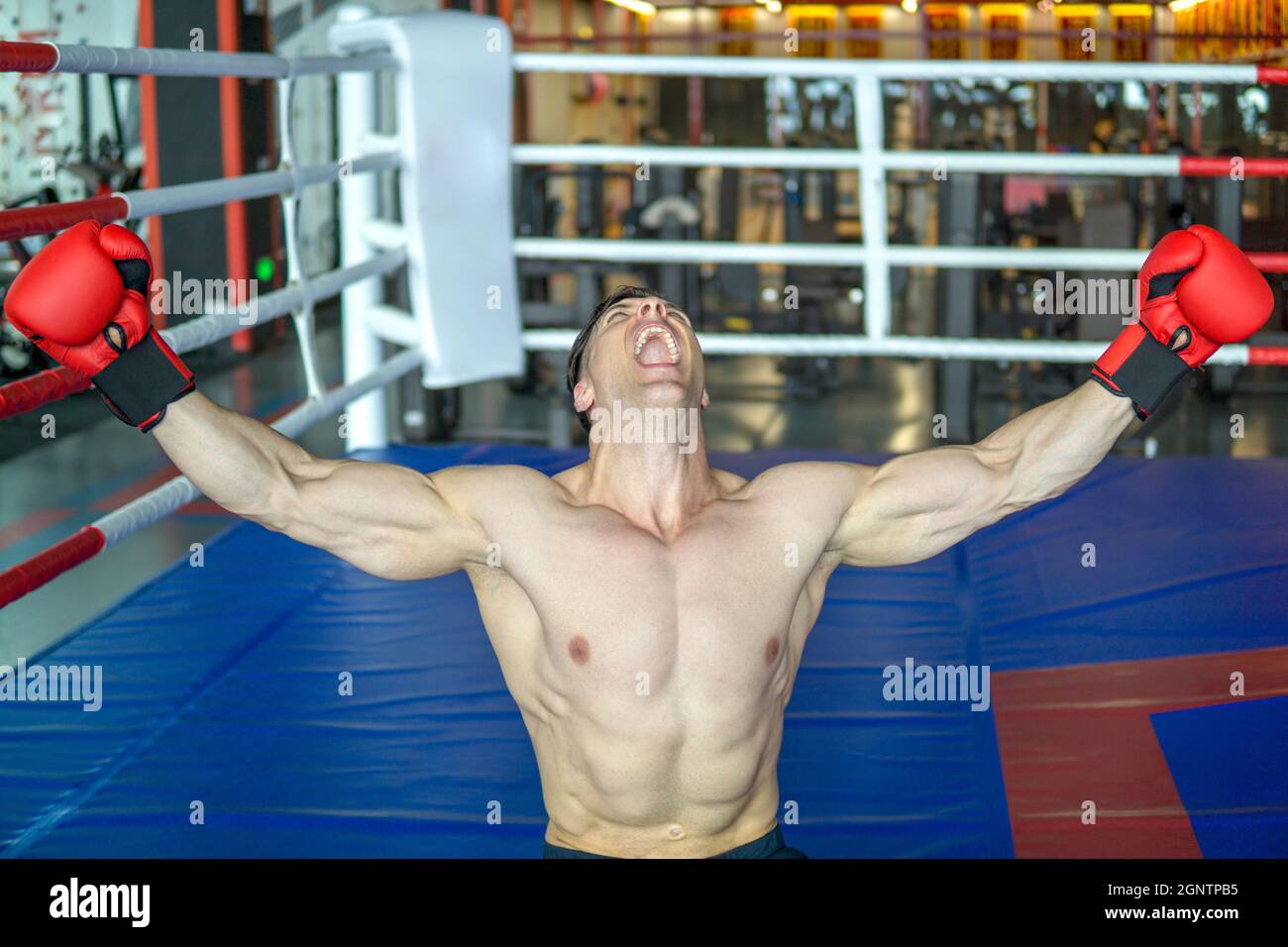 Muscular boxer celebrates after the win Stock Photo - Alamy