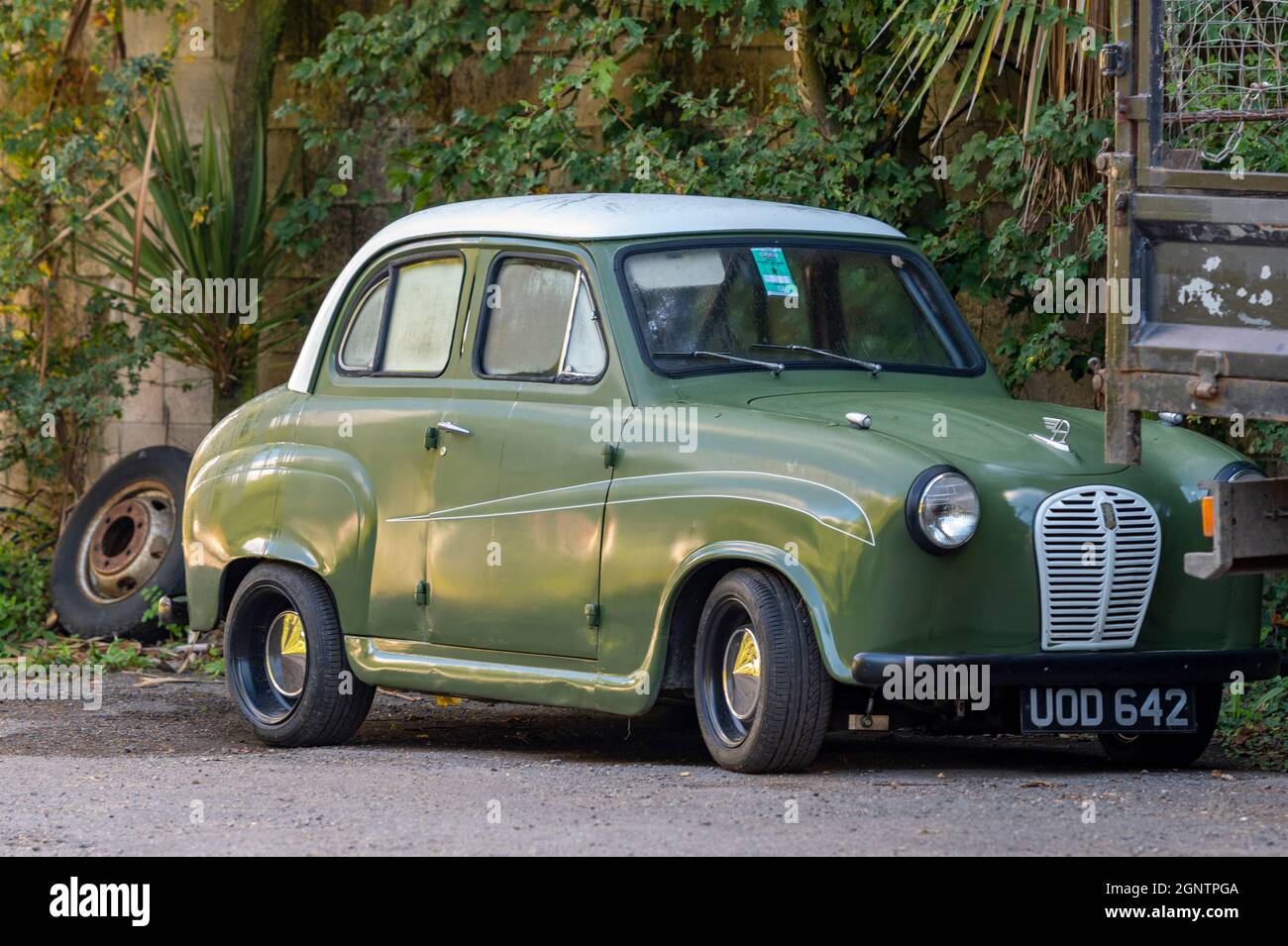 old vintage car an austin a35 painted green in concourse condition ...