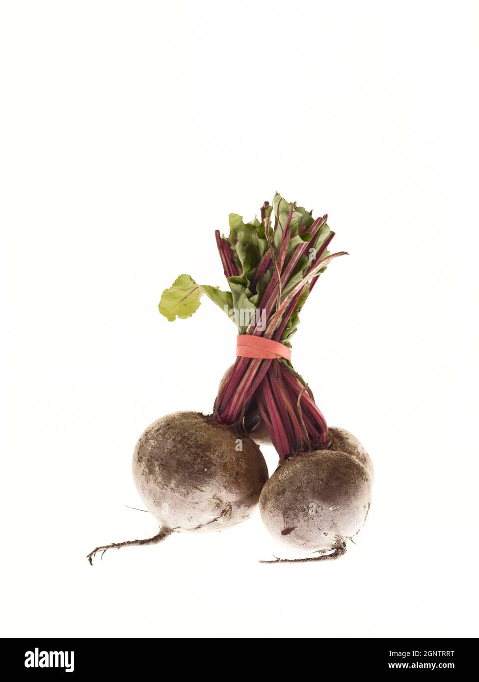 Close up still life of Beetroot against a plain background, high ...