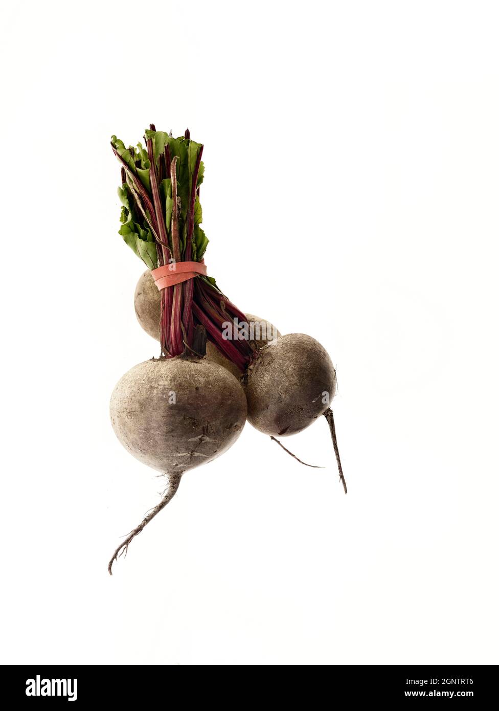 Close up still life of Beetroot against a plain background, high ...