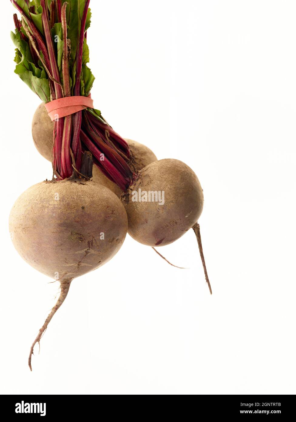 Close up still life of Beetroot against a plain background, high ...