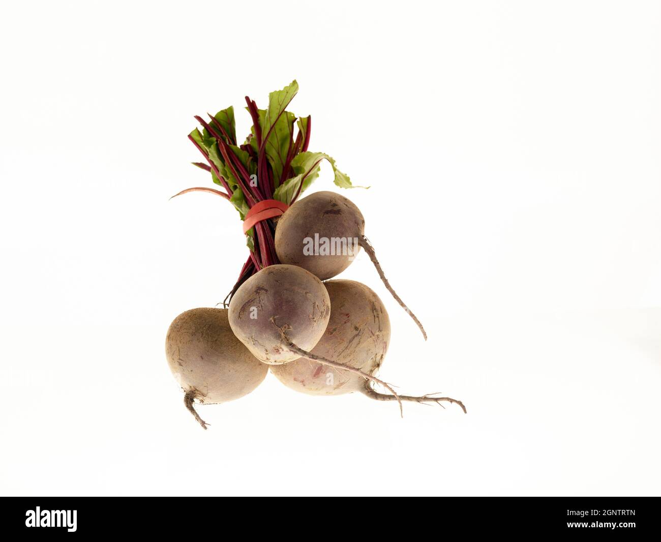 Close up still life of Beetroot against a plain background, high ...