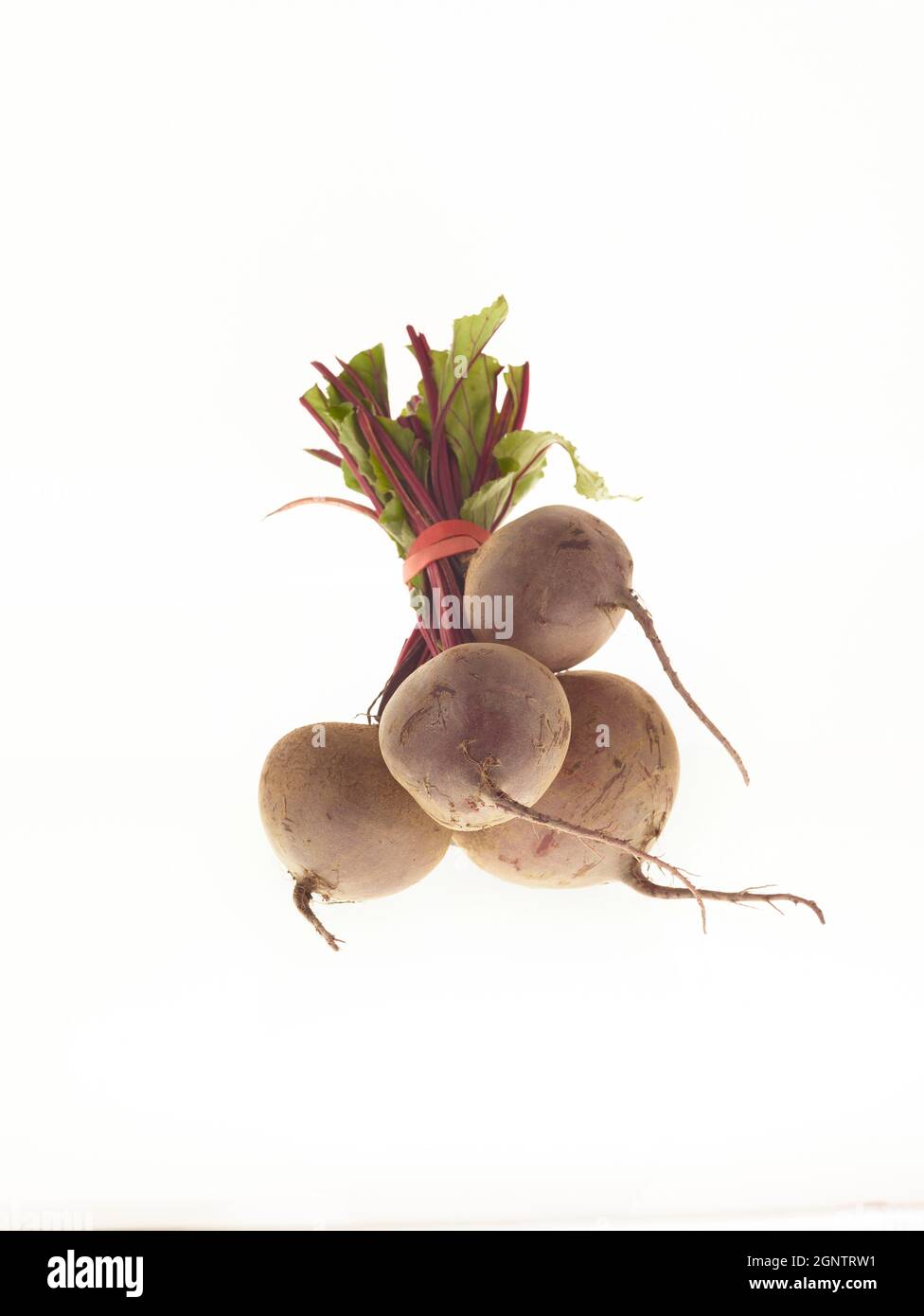 Close up still life of Beetroot against a plain background, high ...