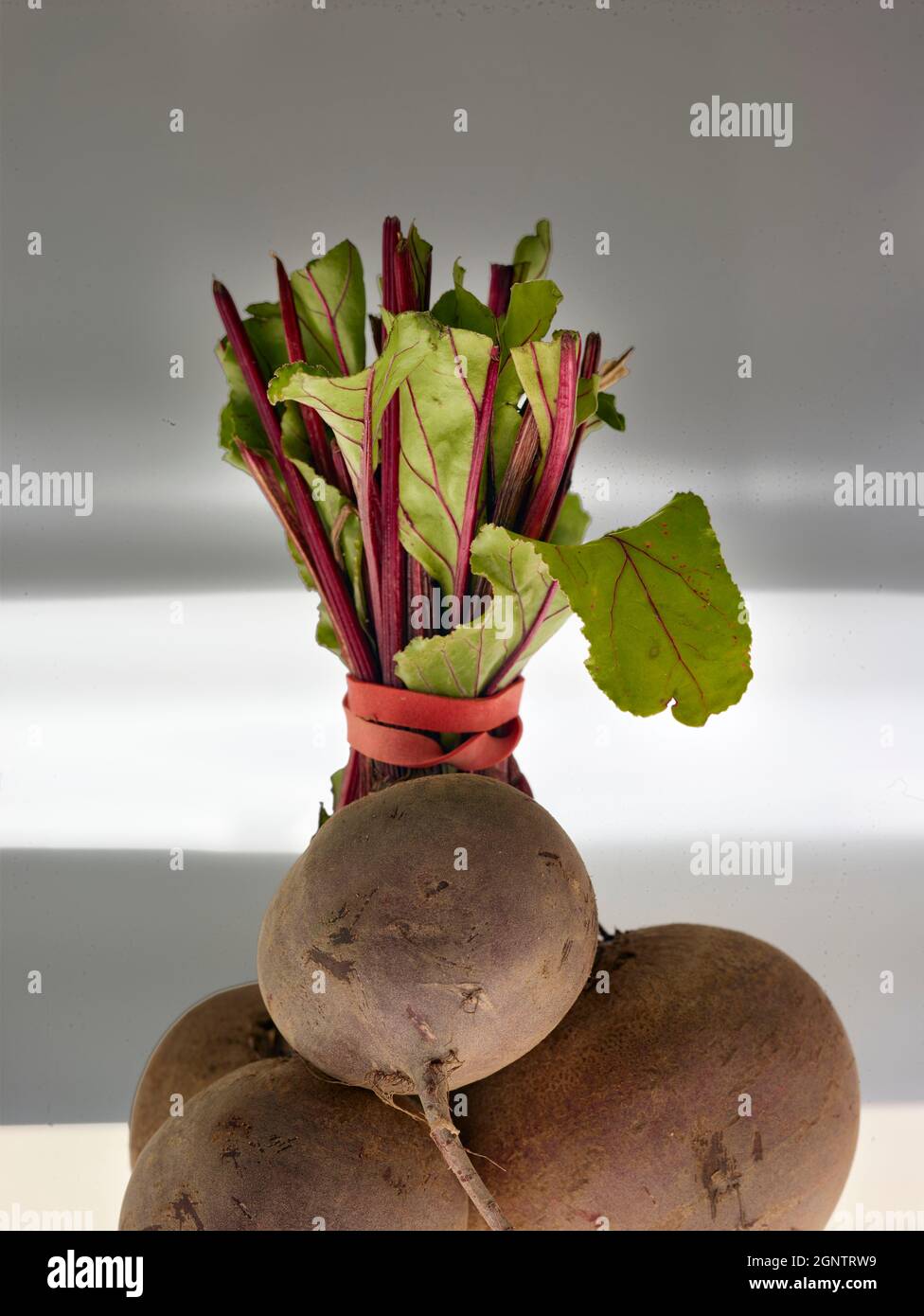 Close up still life of Beetroot against a plain background, high ...