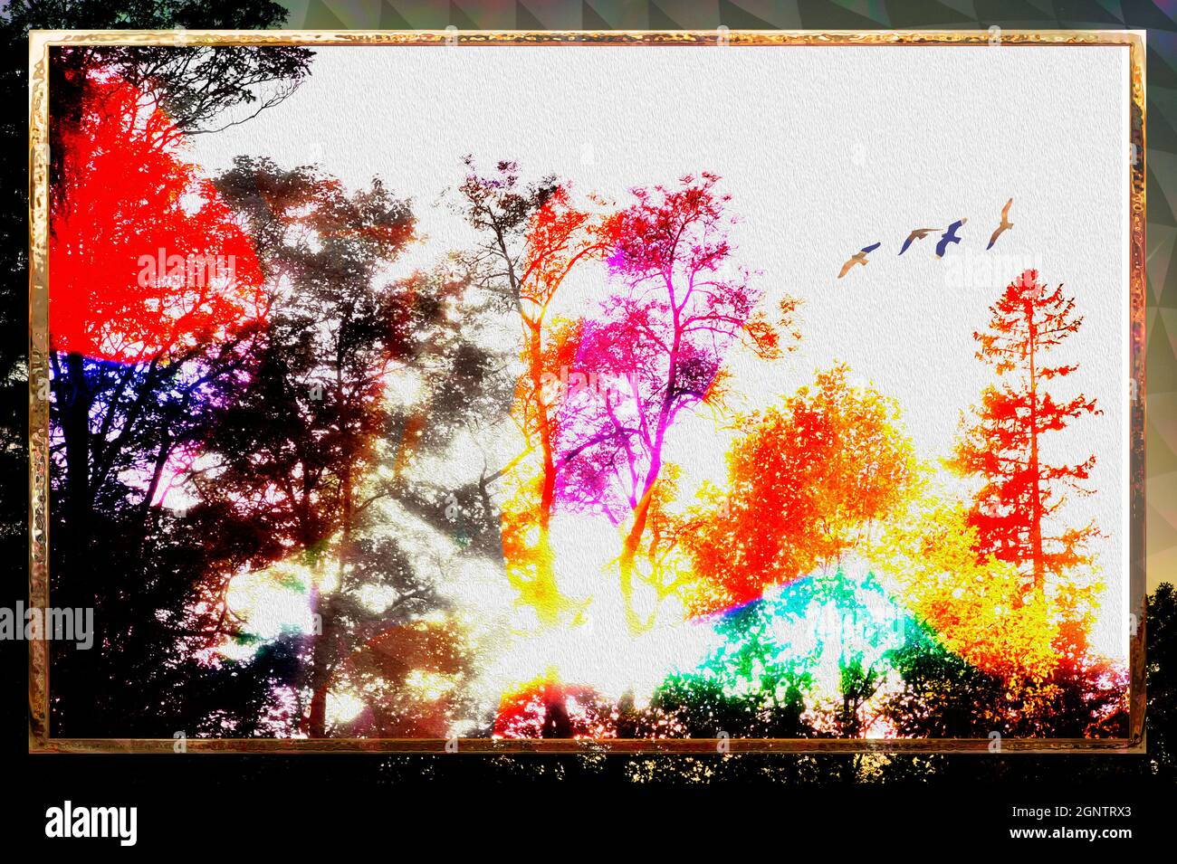 Contemporary gold frame hi-res stock photography and images - Alamy