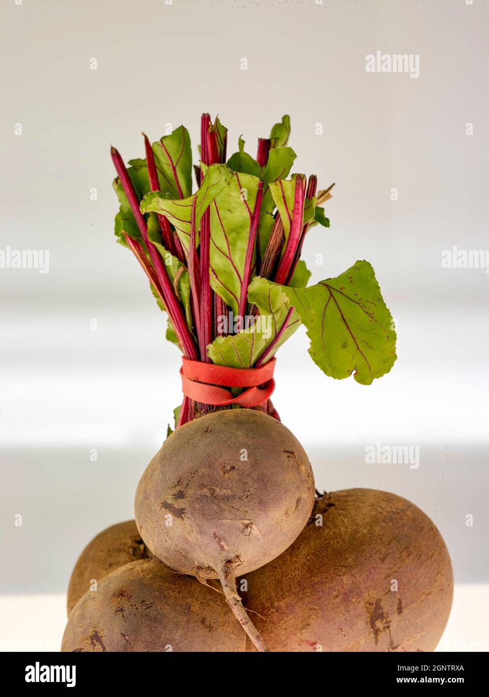 Close up still life of Beetroot against a plain background, high ...