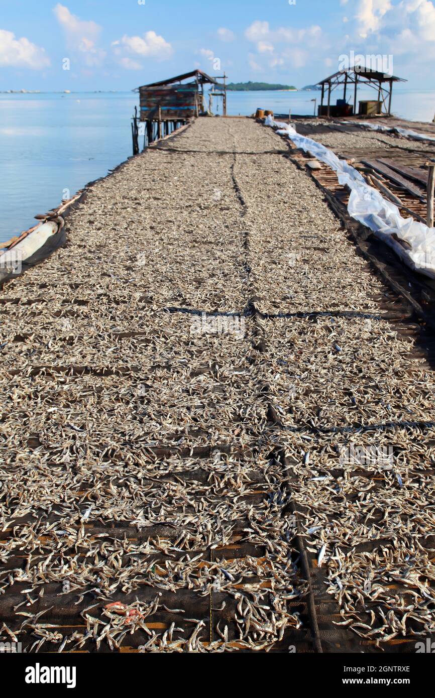 Binga village hi-res stock photography and images - Alamy