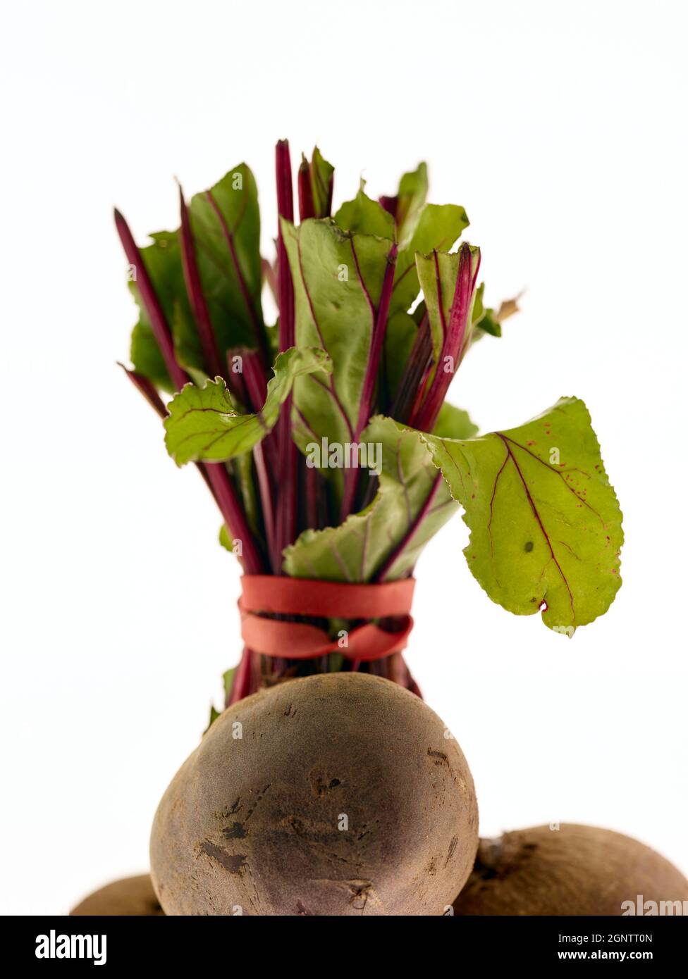 Close up still life of Beetroot against a plain background, high ...